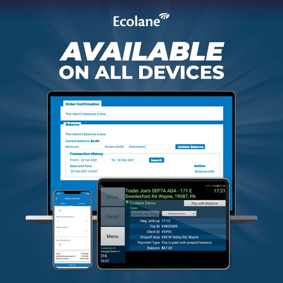 Ecolane's Diminishing Balance Feature | Ecolane